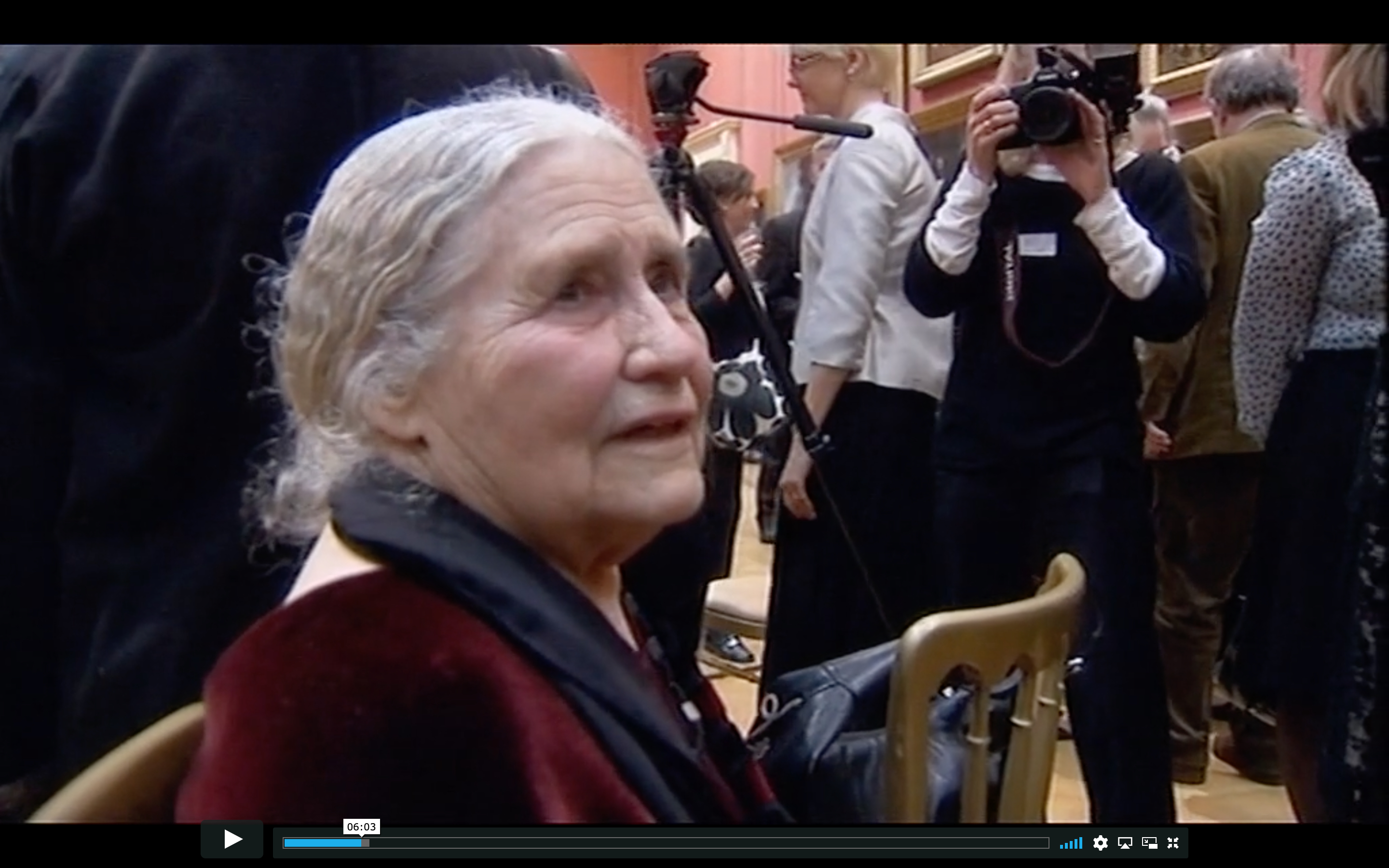 Doris Lessing - The Hostess and the Alien - Allen Charlton